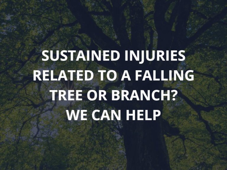 Los Angeles Tree Injury Attorney | Free Consultation